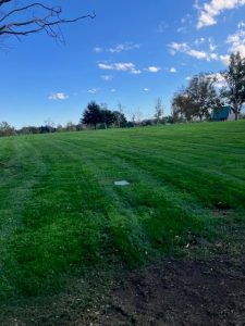 Prado Regional Park – Parks
